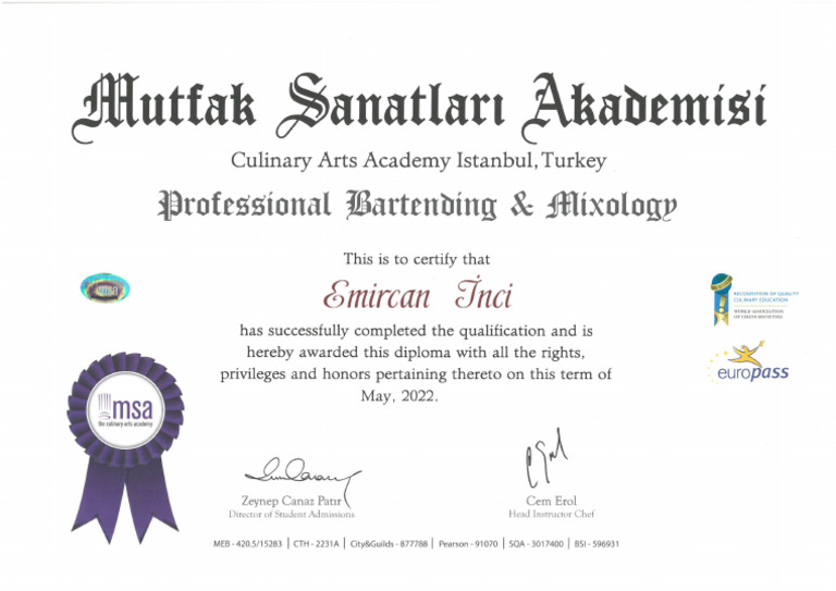 MSA Certificate EN | PDF