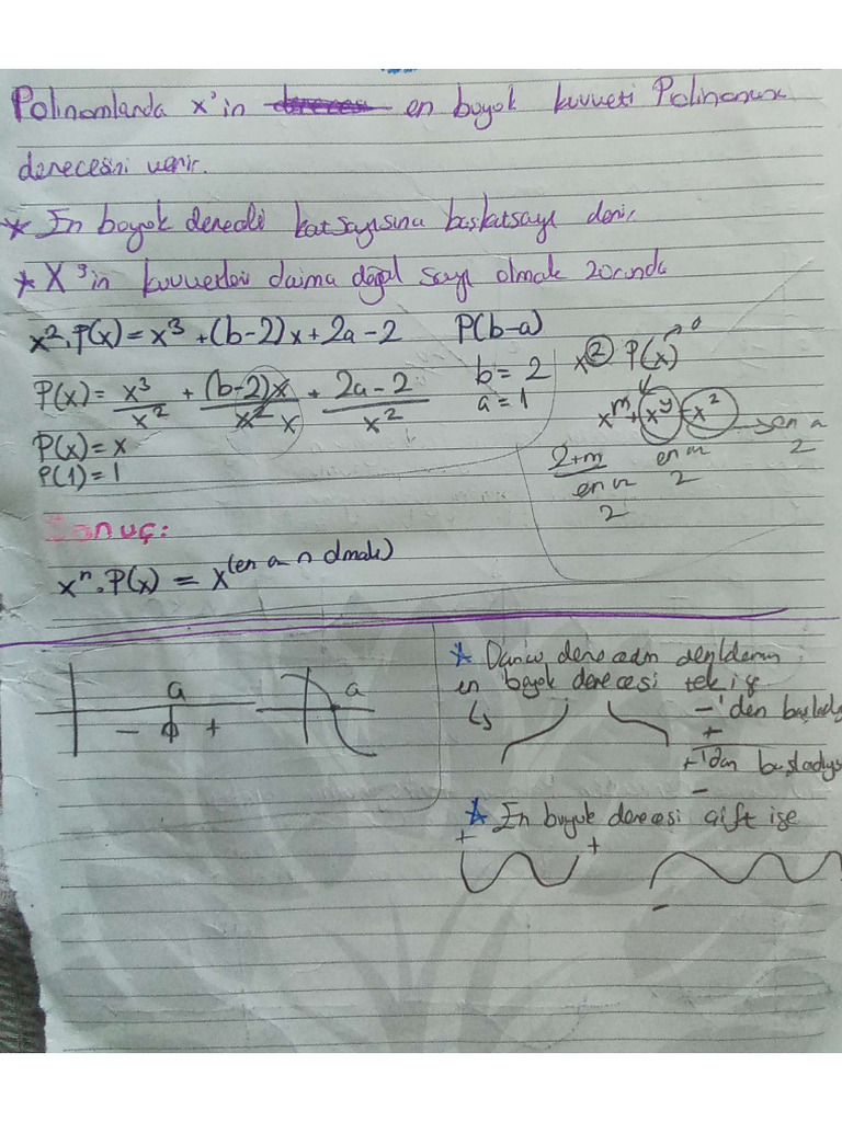 Polynomial Lecture Notes Manuscript 3 | PDF Polynomial Lecture Notes Manuscript 3 | PDF