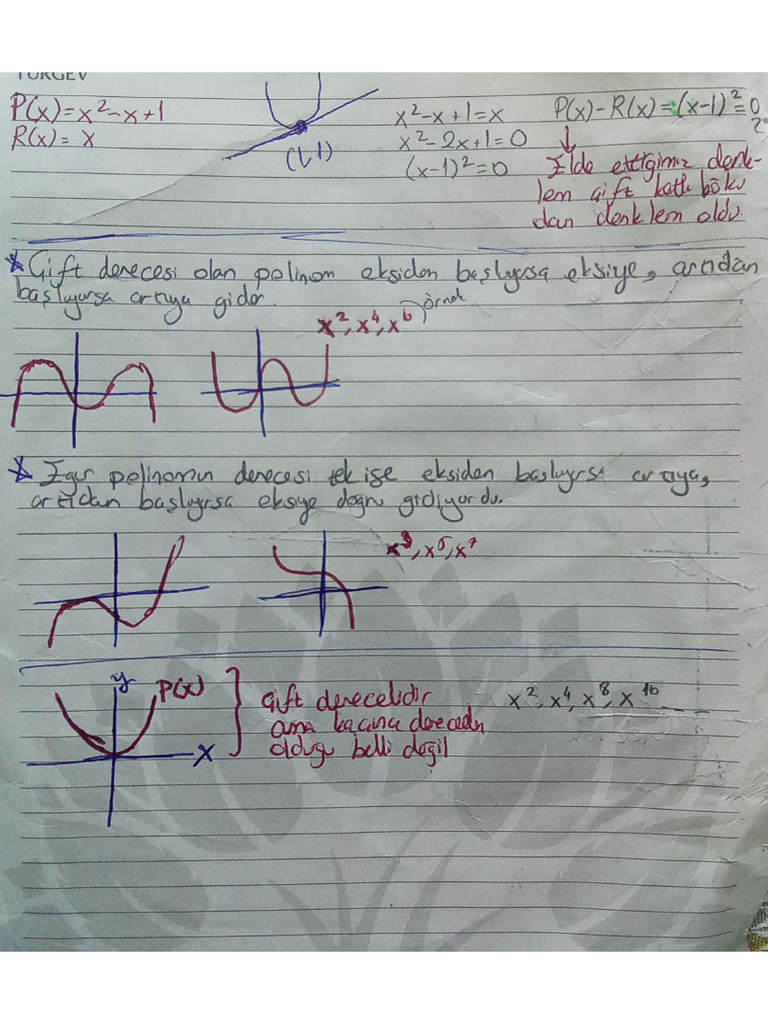 Polynomial Lecture Notes Manuscript 4 | PDF
