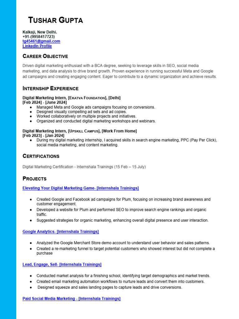 Tushar Resume Internshala | PDF | Digital Marketing | Search Engine Marketing