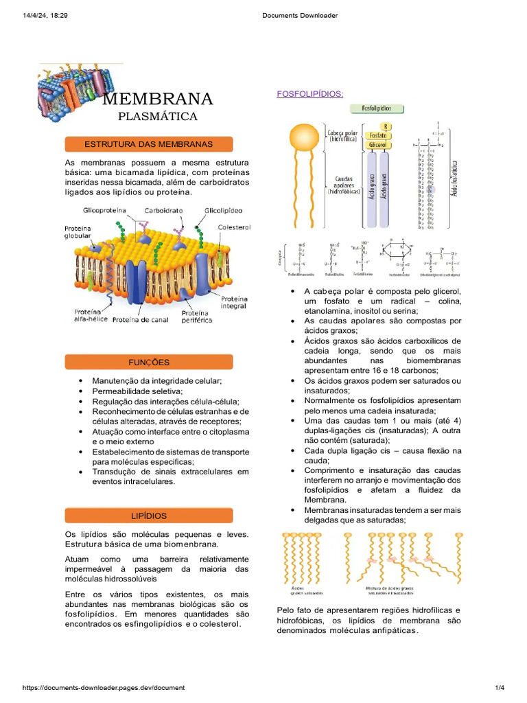 Documents Downloader | PDF