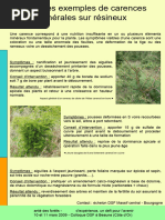 Méthodologie Dossier DC4 | PDF