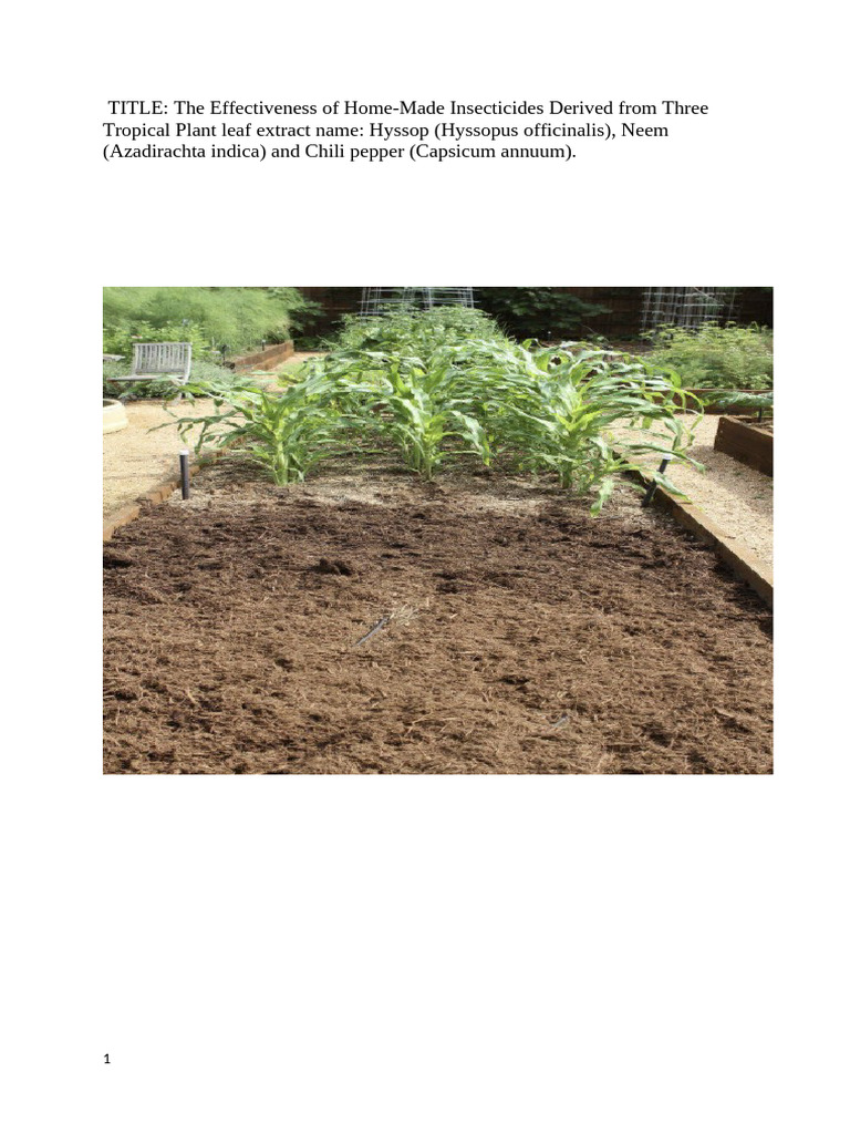 Agriculture Sba | PDF