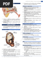 Anatomia da Orelha: Estruturas e Funções | PDF | Orelha | Audição