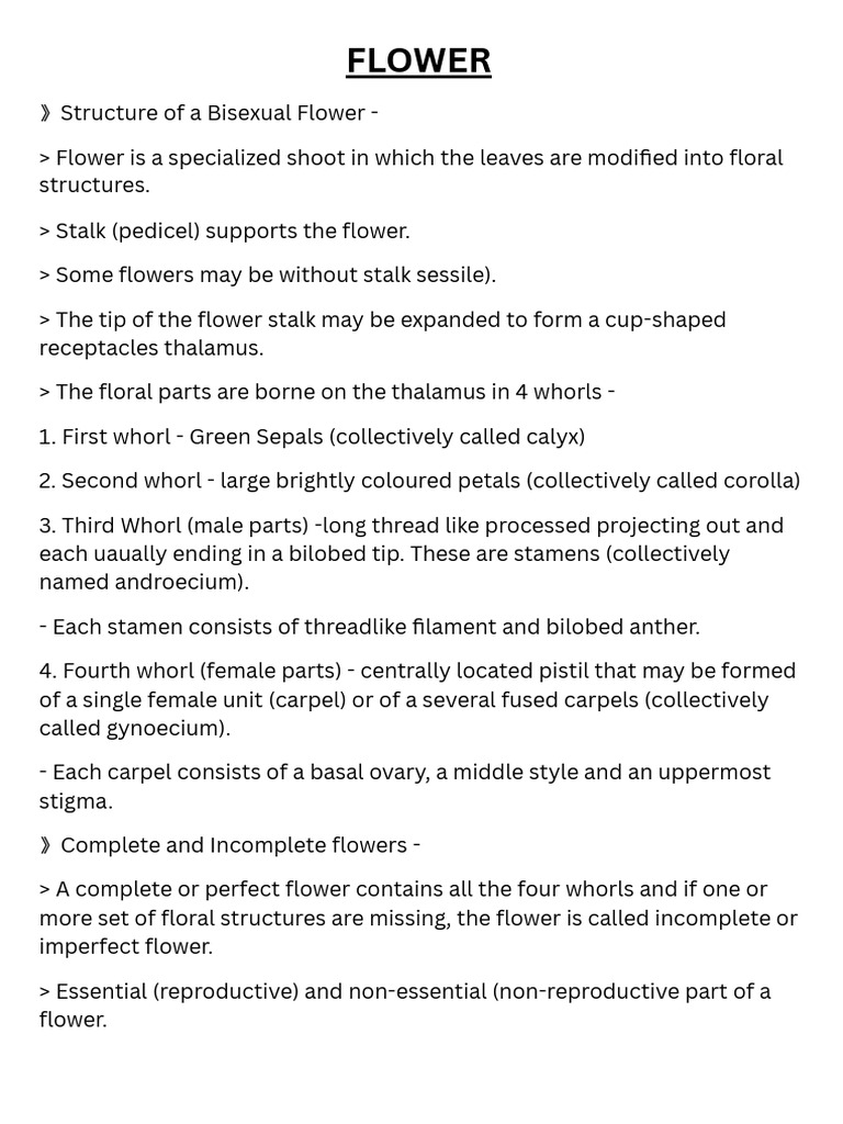 Flower | PDF
