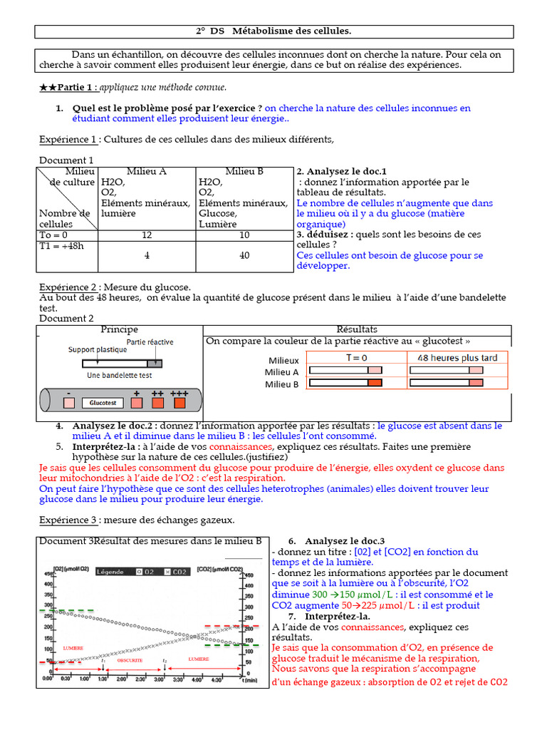 DS Metabolisme 2 Correction | PDF