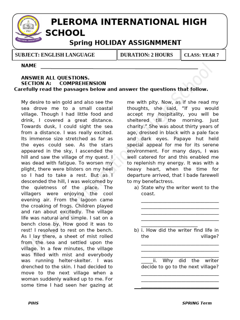 Holiday Homework ENGLISH 7 | PDF