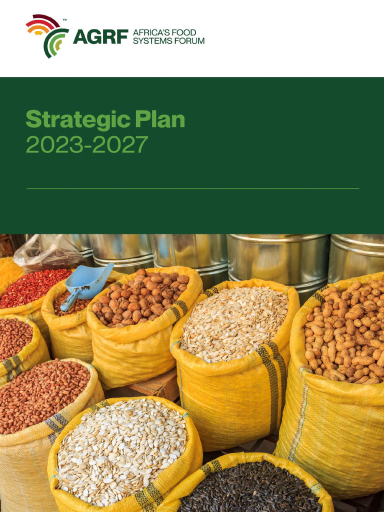 AFS FORUM Strategic Plan 2023 2027 CLEAN FINAL VERSION | PDF