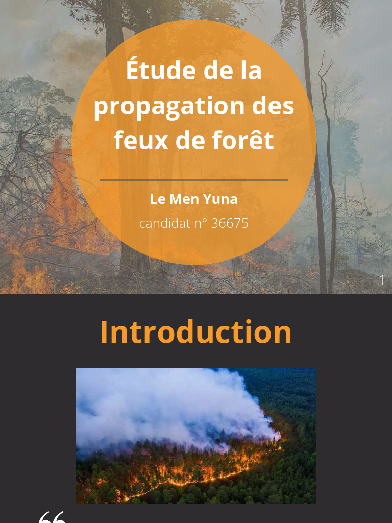 Tipe Le Men Yuna Feux Foret | PDF