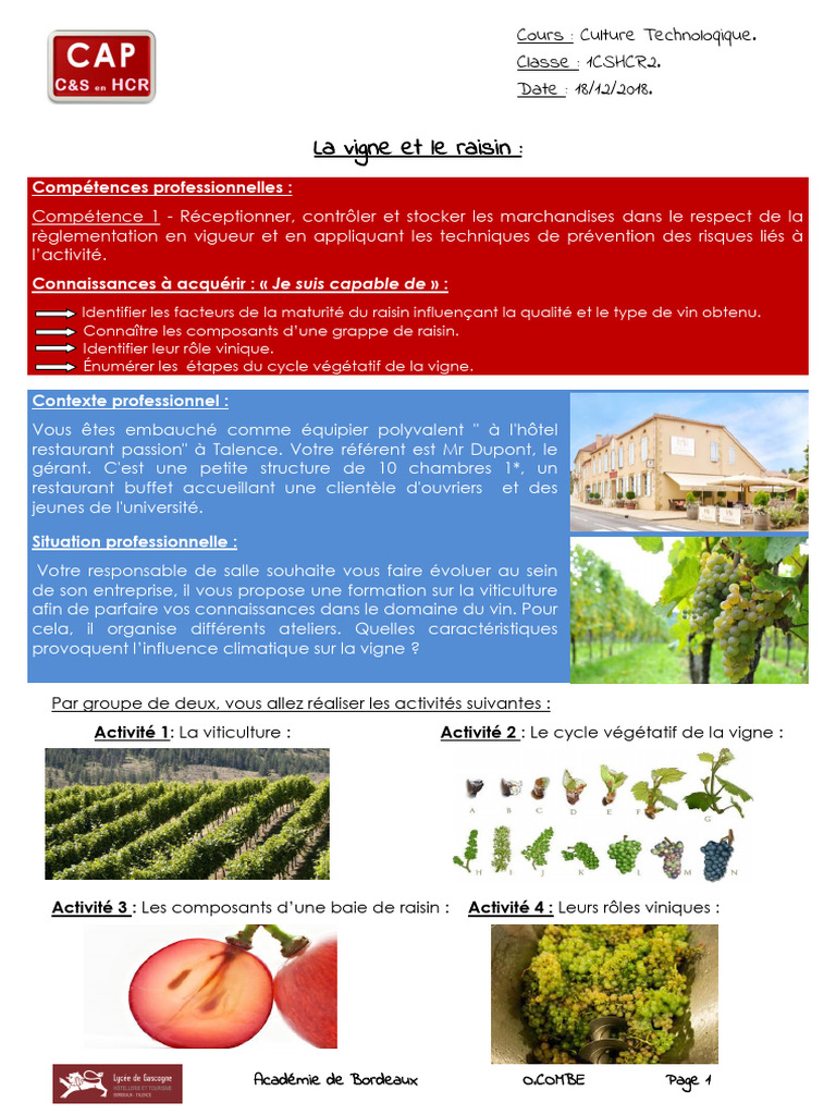 10-LA-VIGNE-ET-LE-RAISIN-professeur-1 | PDF