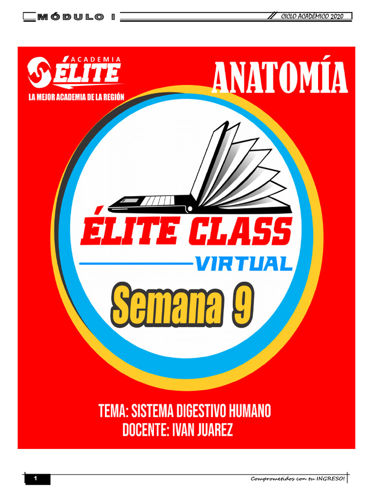 ANATOMIA-SEMANA-9 | PDF