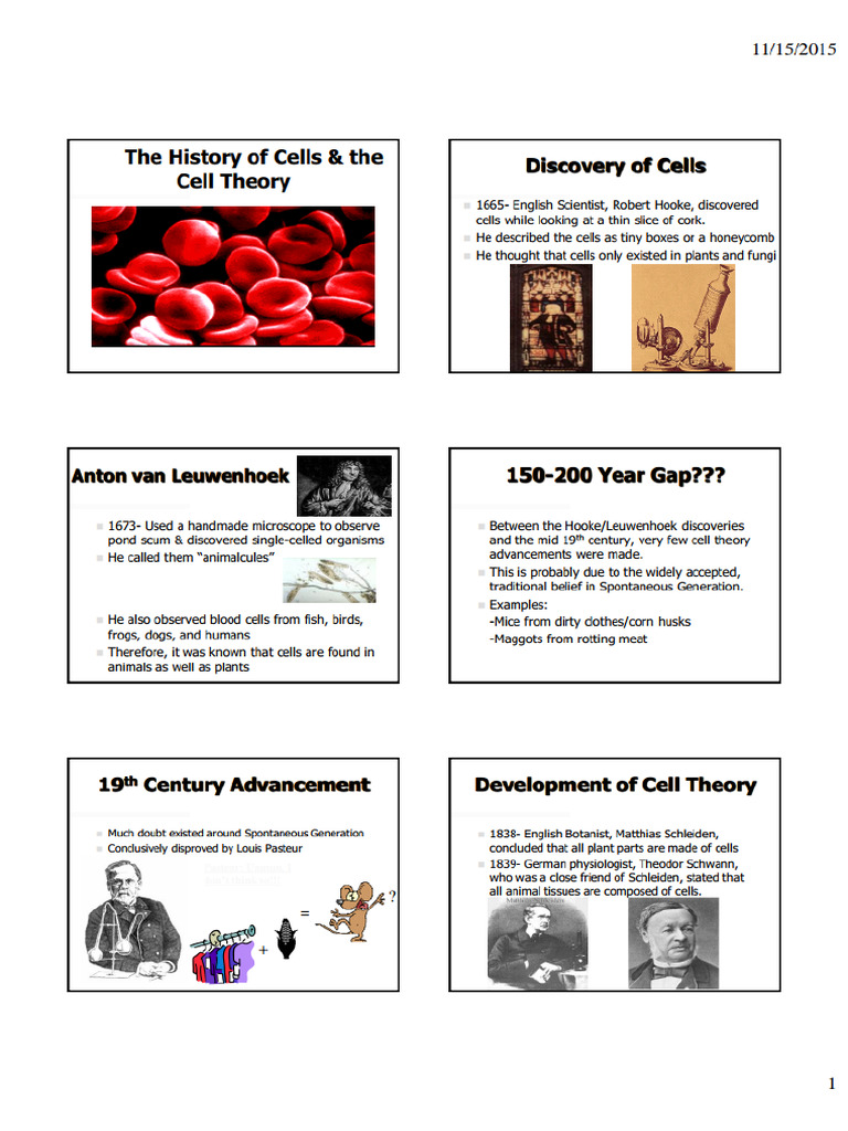 Cell Theory | PDF