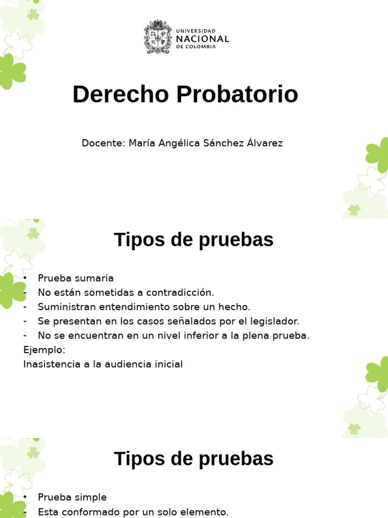 Derecho Probatorio | PDF