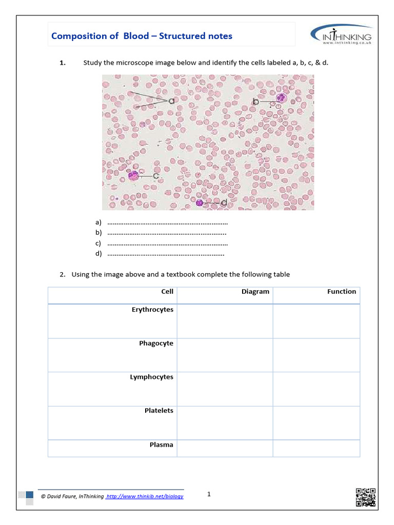 Blood Composition | PDF