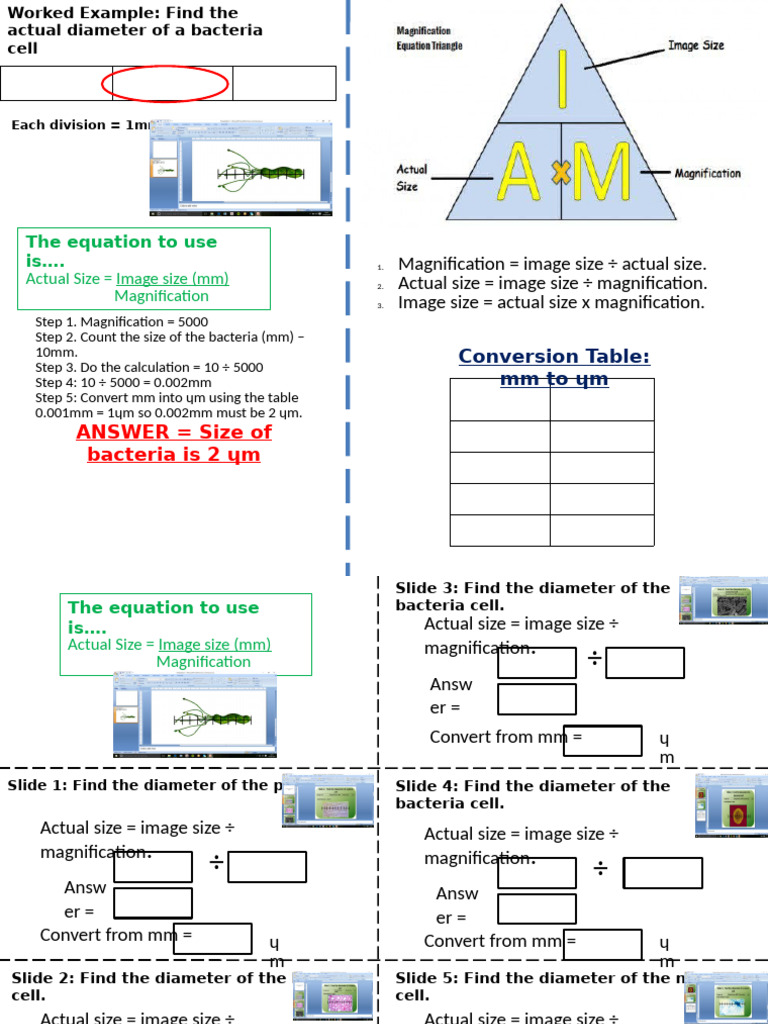 Magnification Calculation Help Sheet | PDF