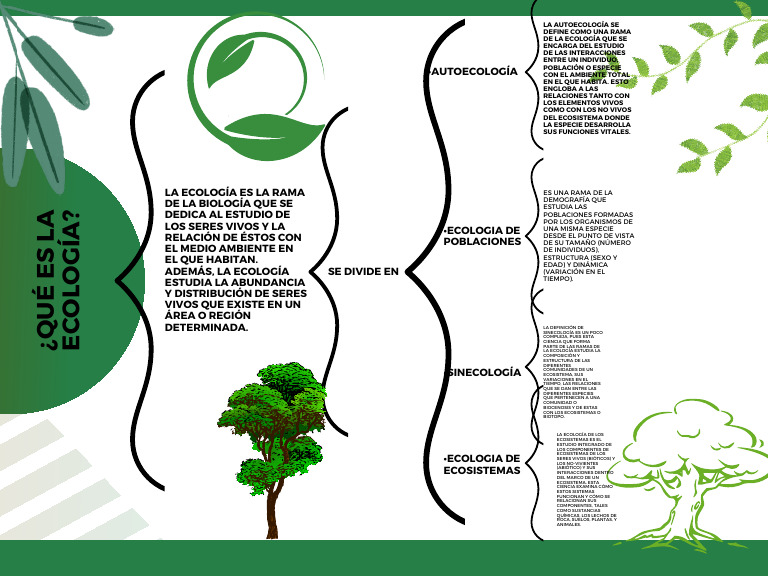 Cuadro Sinóptico Complejo 20240217 231130 0000 | PDF