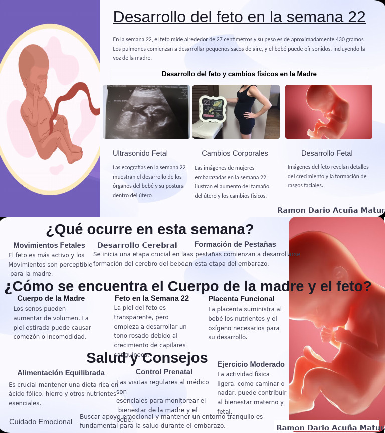Desarrollo Del Feto en La Semana 22 | PDF | Feto | El embarazo