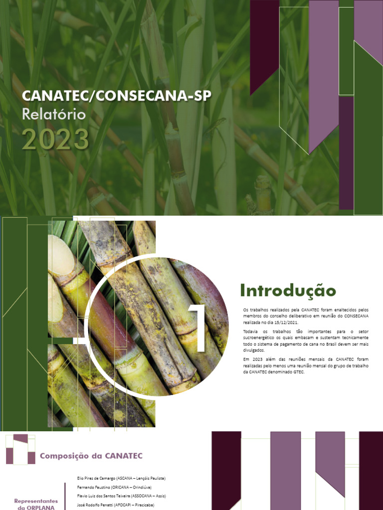 Relatorio Canatec Consecana-Sp 2023 | PDF