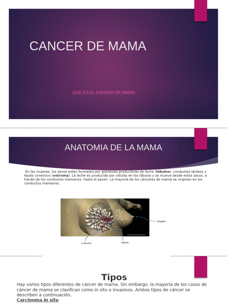 Cancer de Mama | PDF