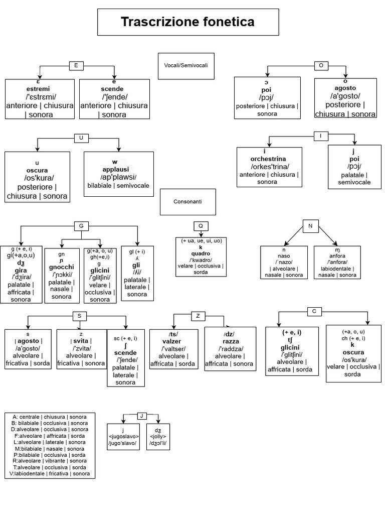Trascrizione Fonetica Schema Regole | PDF