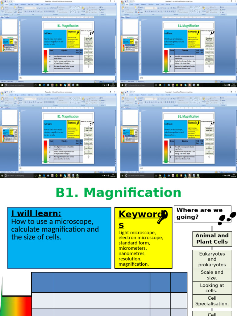 B1 Magnification Lesson | PDF
