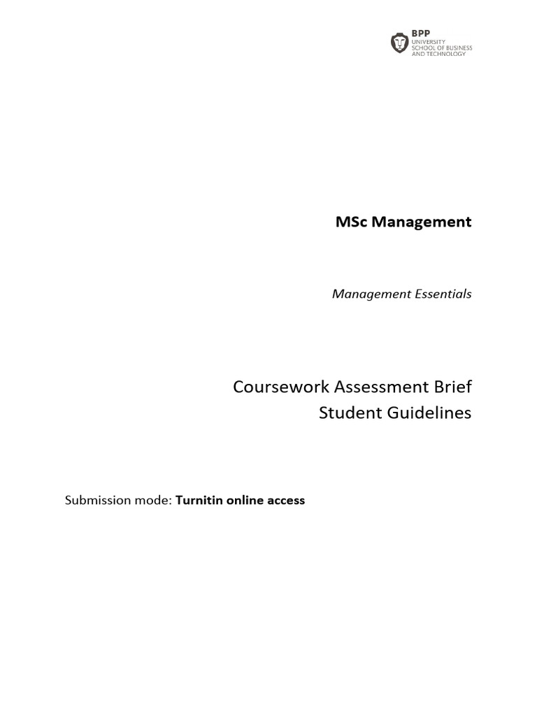 NEW Summative Assessment Brief - Management Essentials | PDF