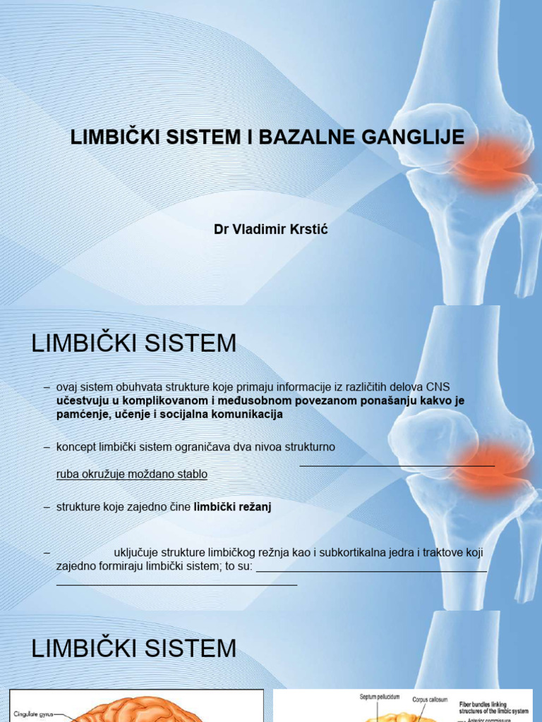 Anatomija i Fiziologija CNS Limbički Sistem Bazalne Ganglije Dr Krstic Vladimir | PDF