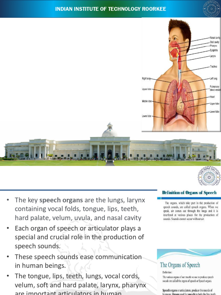 L - 6, Organs of Speech | PDF