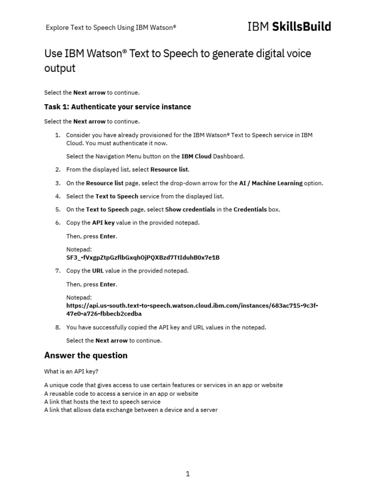Simulation transcript IBM TTS | PDF