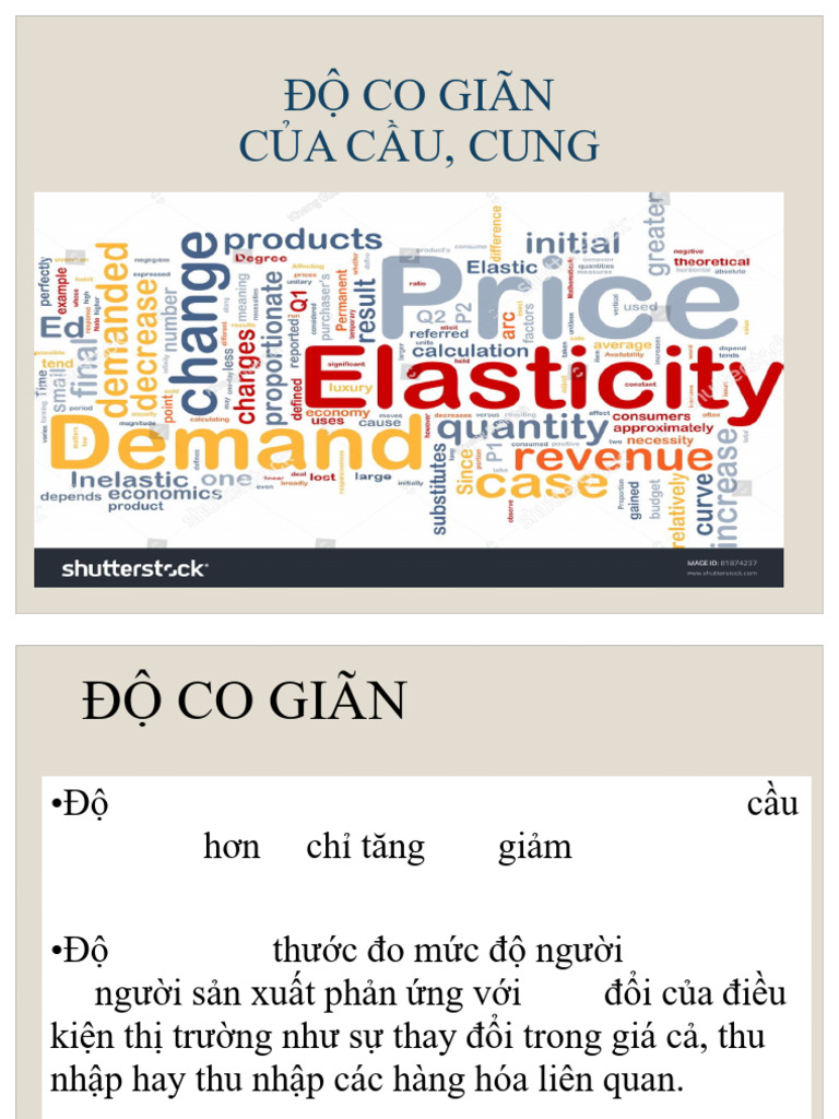 Đ Co Giãn | PDF