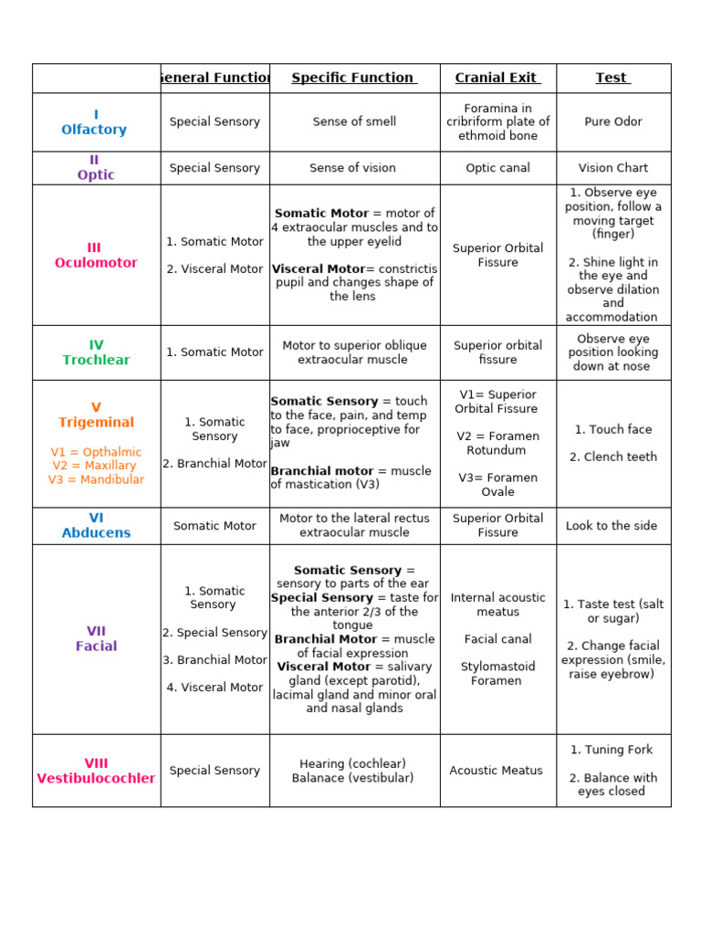 Cranial Nerve Chart | PDF