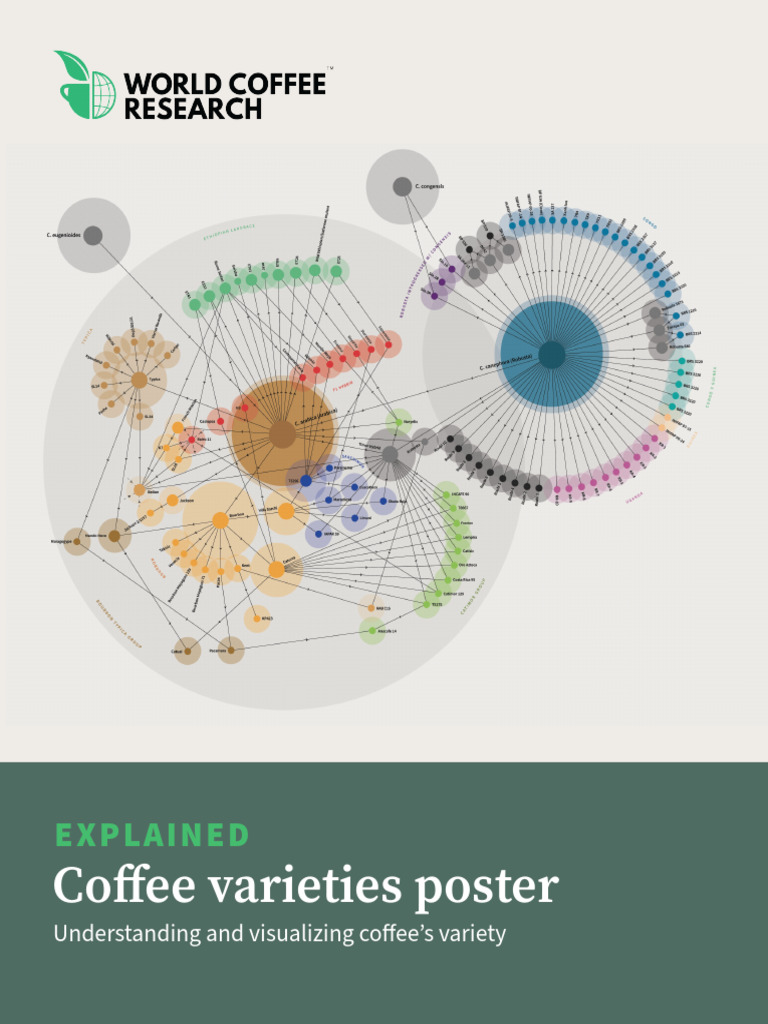 Poster-explainer | PDF