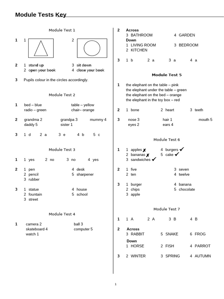 11 Smiles 2 Module Tests Key | PDF