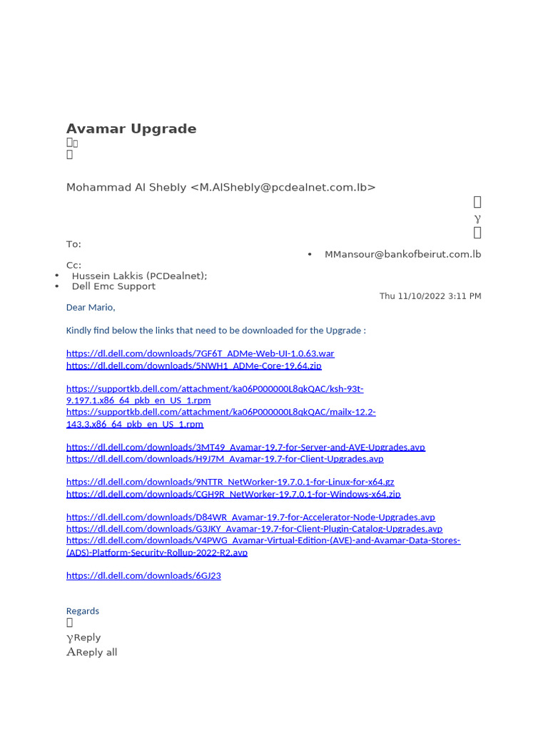 Avamar Upgrade | PDF