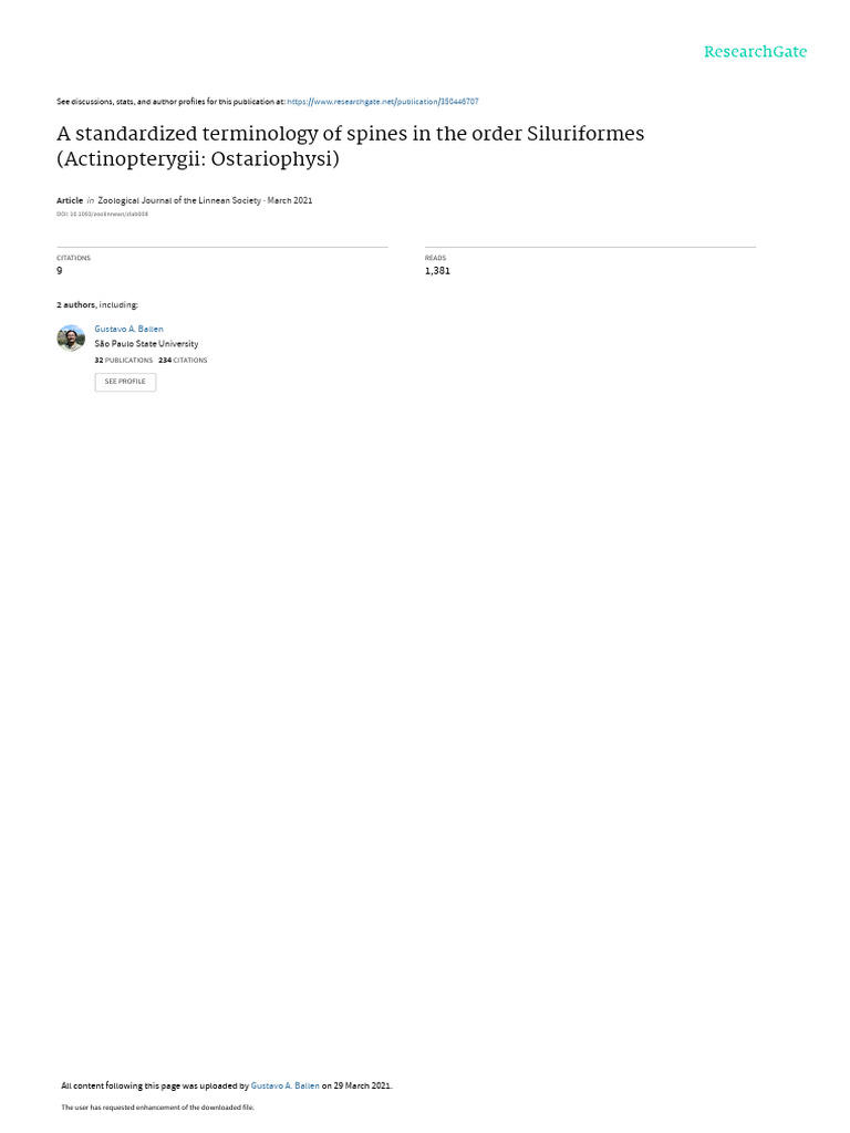 A Standardized Terminology of Spines in The Order Siluriformes ...