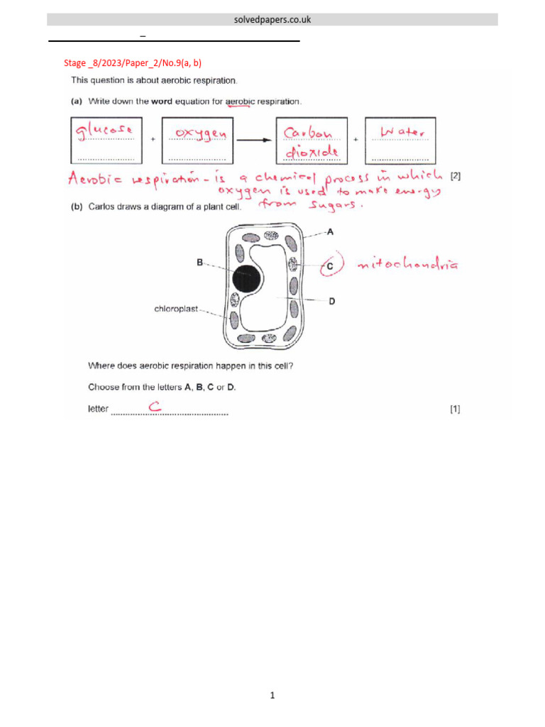 2023 22 Aerobic Respiration Checkpoint Sec 1 Progression Stage 8 Solved | PDF