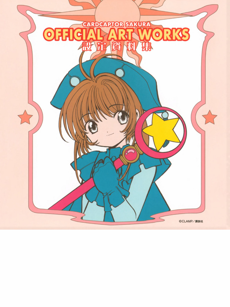 Ccs Poster Box Oaw | PDF