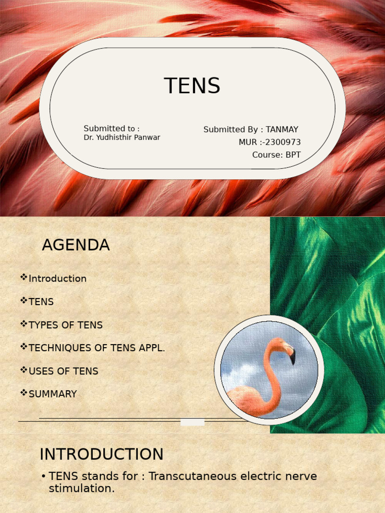 TENS | PDF