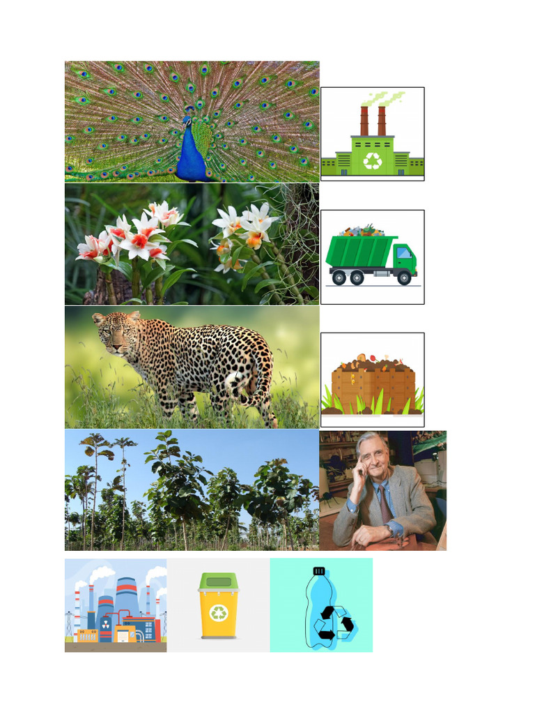 Print Outs | PDF