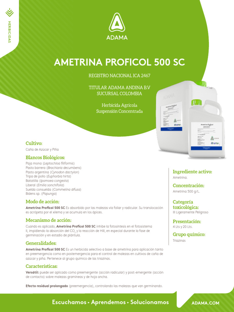 Ficha Tecnica Ametrina | PDF