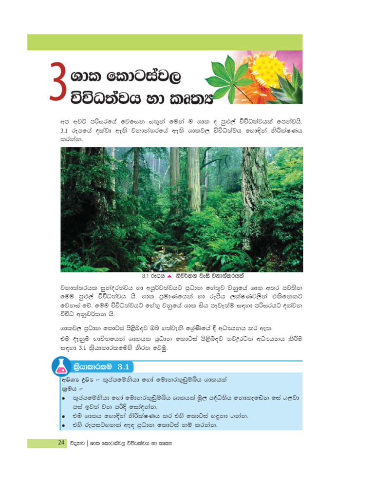 Sg8 Sci Chapter03 | PDF