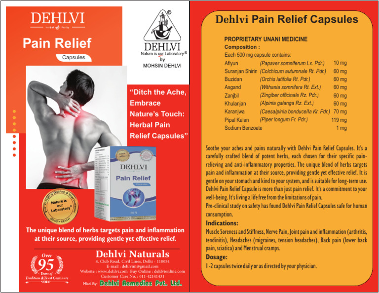 Dehlvi Pain Relief Poster | PDF | Pain | Diseases And Disorders