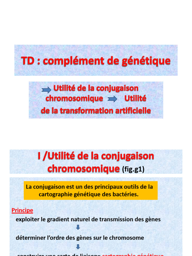 TD Complément de Génétique | PDF