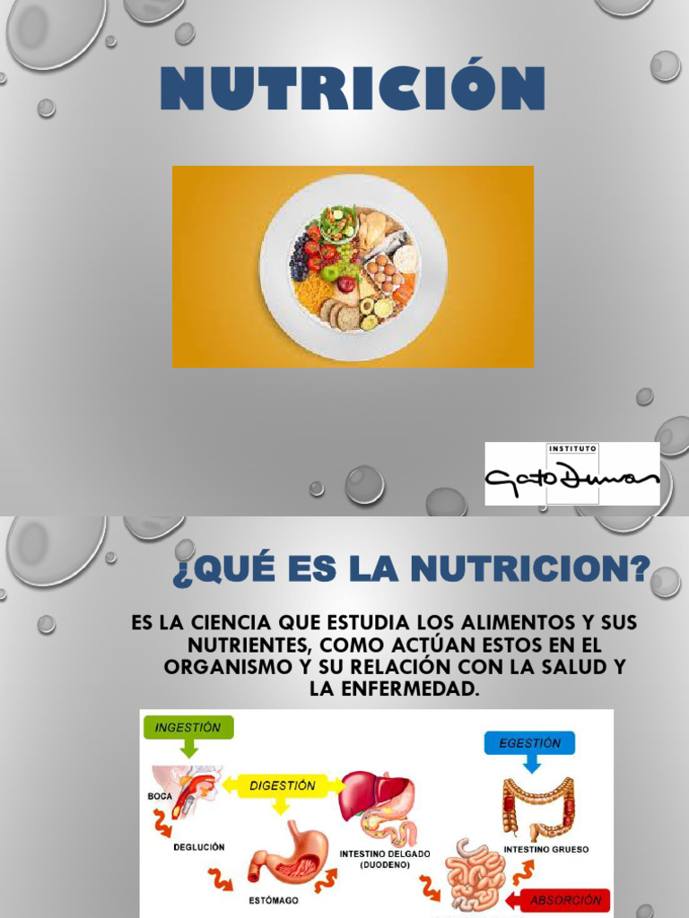 NUTRICIÓN PPT 2024 | PDF | gordo | Alimentos