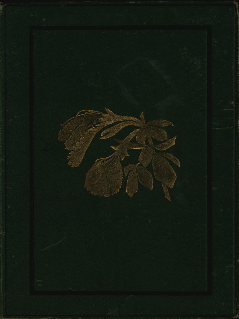 John Monteiro - Angola and River Congo | PDF