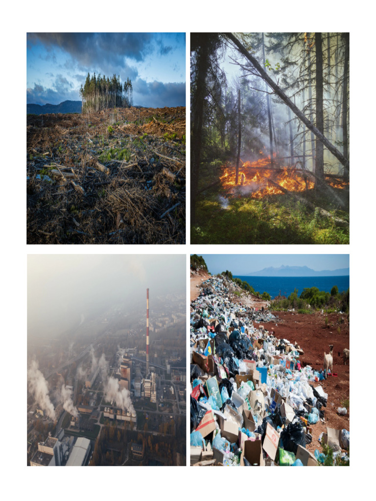 Environmental Disorder | PDF