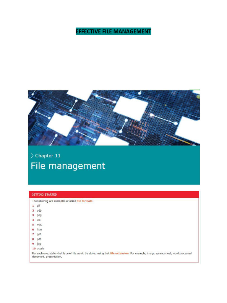 Effective File Managementy9 | PDF