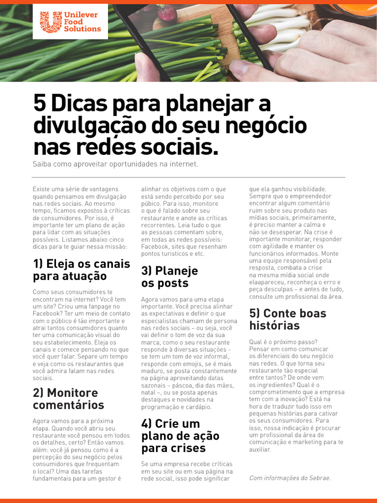 Conteudo Redes Sociais | PDF