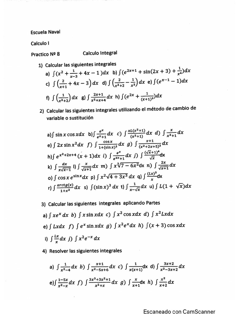 Practico NÂº 8 Integrales Calculo I | PDF