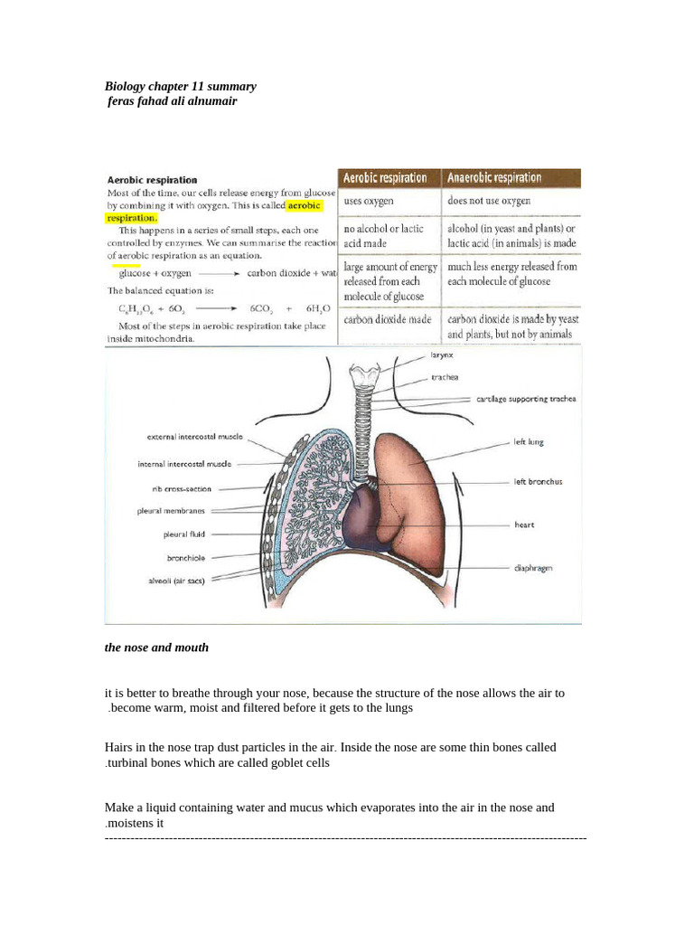Biology Chapter 11 Summary | PDF